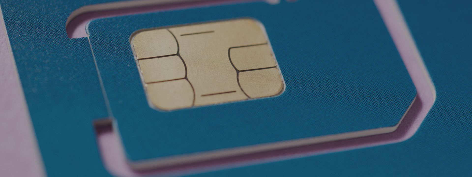 RYT Cards – Printing & Packaging